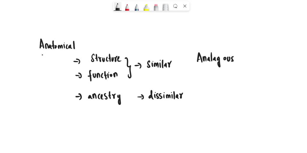 SOLVED: Anatomical characters that are similar in structure and/or ...