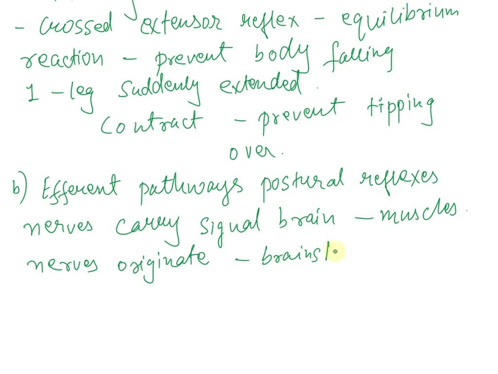 SOLVED: What are three postural distortion patterns to look for in ...