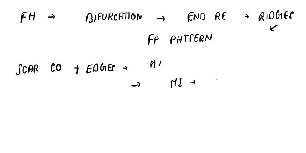 Examples of fingerprint minutiae are: A. Loop, whirl, and arch B ...