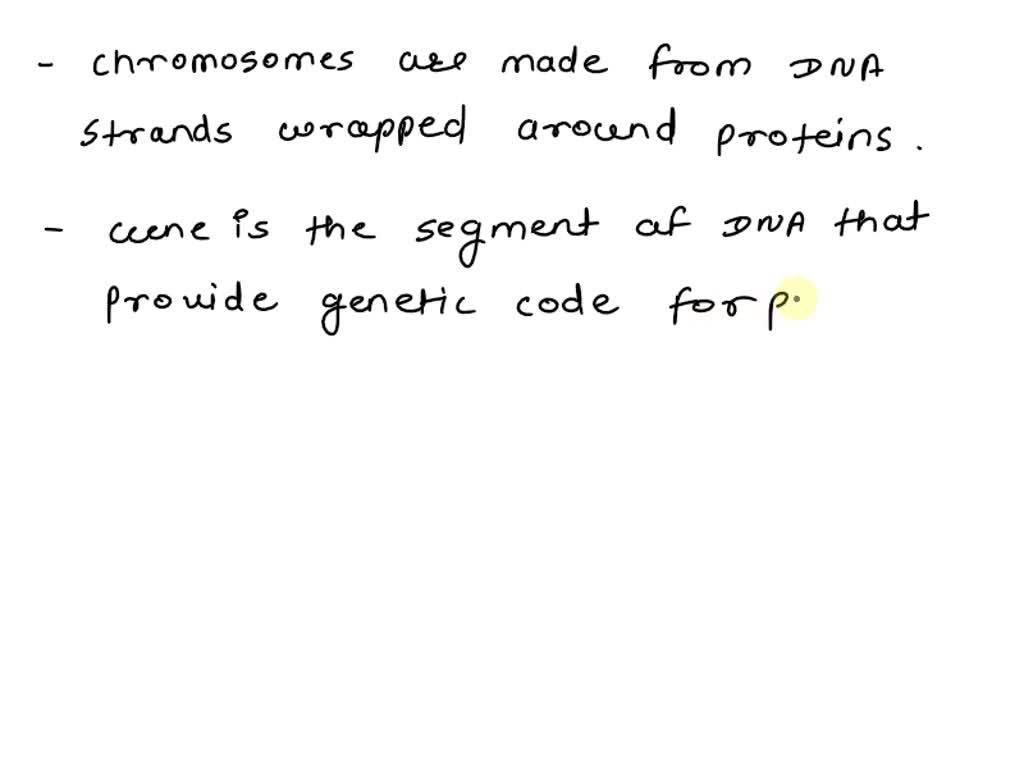 SOLVED: 3. Which of the following correctly ranks the structures in order of size, from largest ...