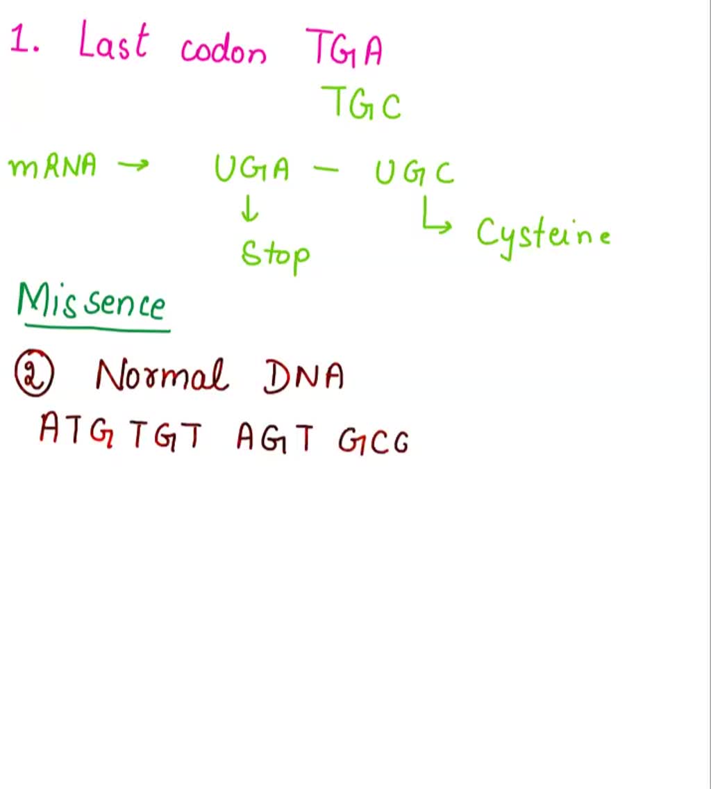 SOLVED: Coding strand - ATGTGTAGTGCGAGTTGA 1. If the last base in the ...