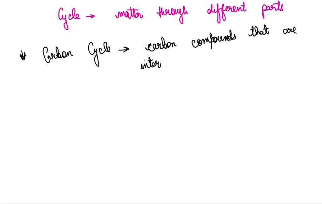 SOLVED: When considering brand choice, which one of the following stages of the production life ...