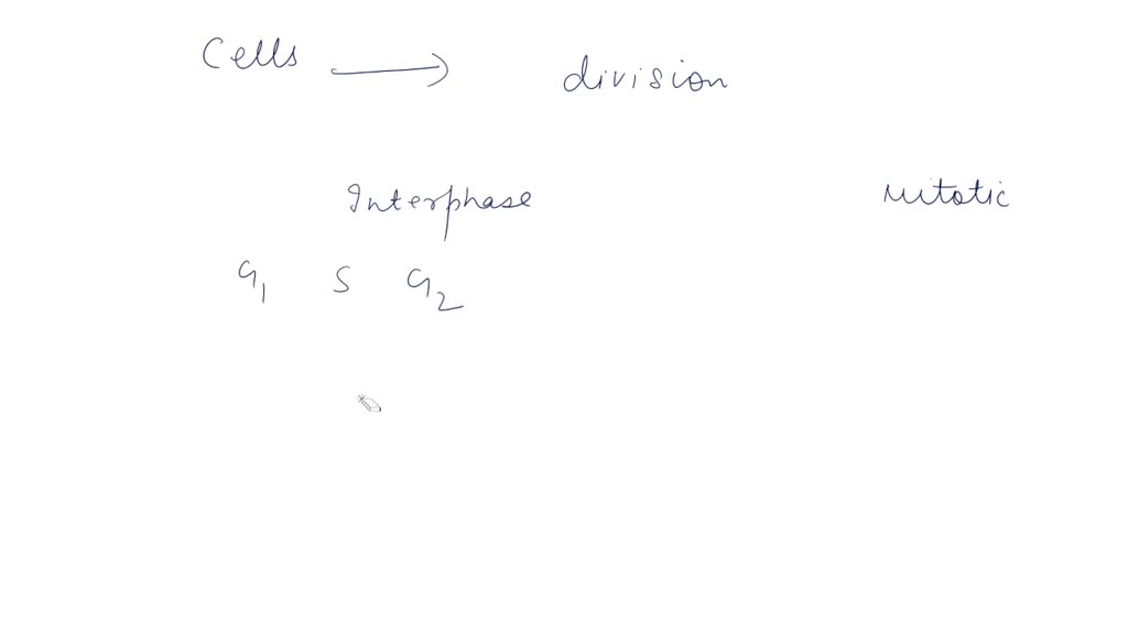 SOLVED: What do cells need to do between divisions to make sure that ...