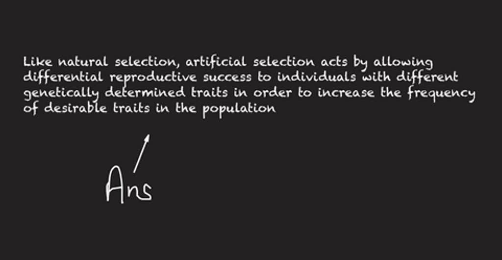 SOLVED: How does Artificial Selection affect Natural Selection? SOLVED: How does Artificial Selection affect Natural Selection?