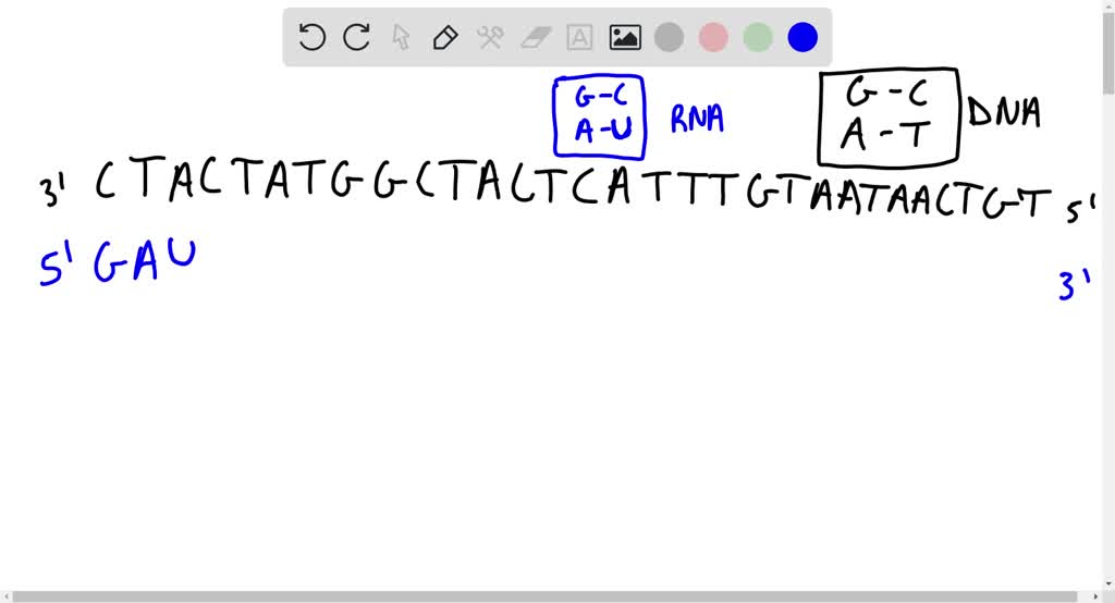 SOLVED: Genetic Code Activity Step 1: Fill in the complementary strand ...