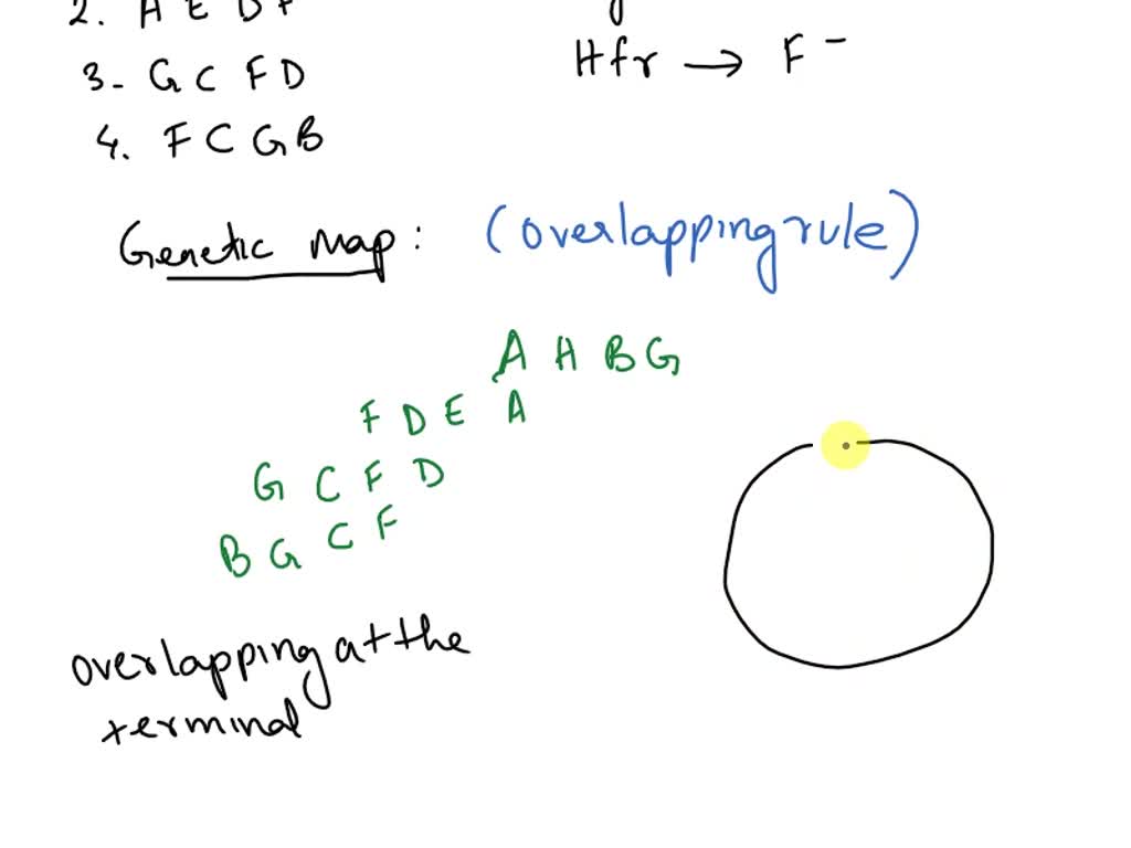 Solved The Interrupted Mating Method Used During Mapping By Conjugation Works Well Because