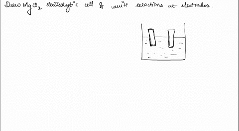 Draw a MgCl2 electrolytic cell and write the reactions...