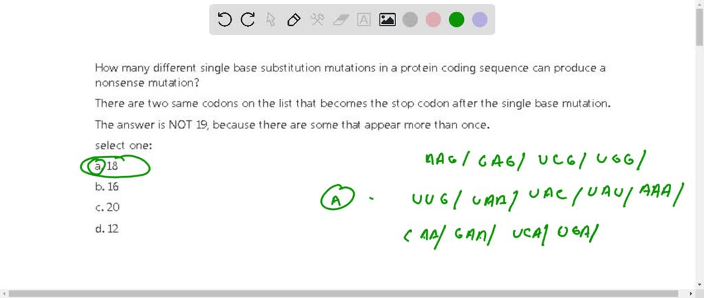 Solved How Many Different Single Base Substitution Mutations In A Protein Coding Sequence Can