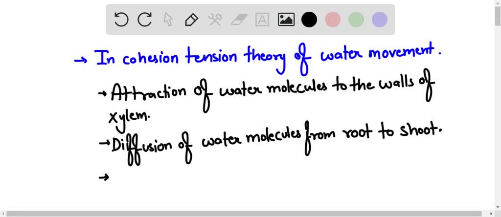 SOLVED: The cohesion-tension theory in plants requires all of the ...