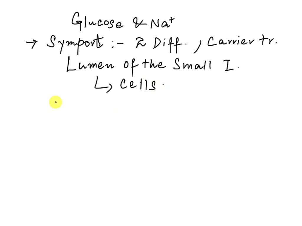 SOLVED: The Na+/glucose symport transports glucose from the lumen of ...