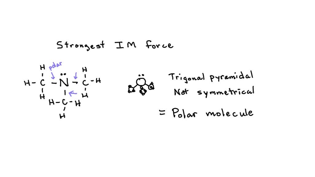 Solved 3 The Predominant Intermolecular Force Between Molecules Of