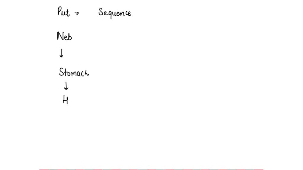 SOLVED: Put the following structures in order, from the smallest to the ... SOLVED: Put the following structures in order, from the smallest to the ...