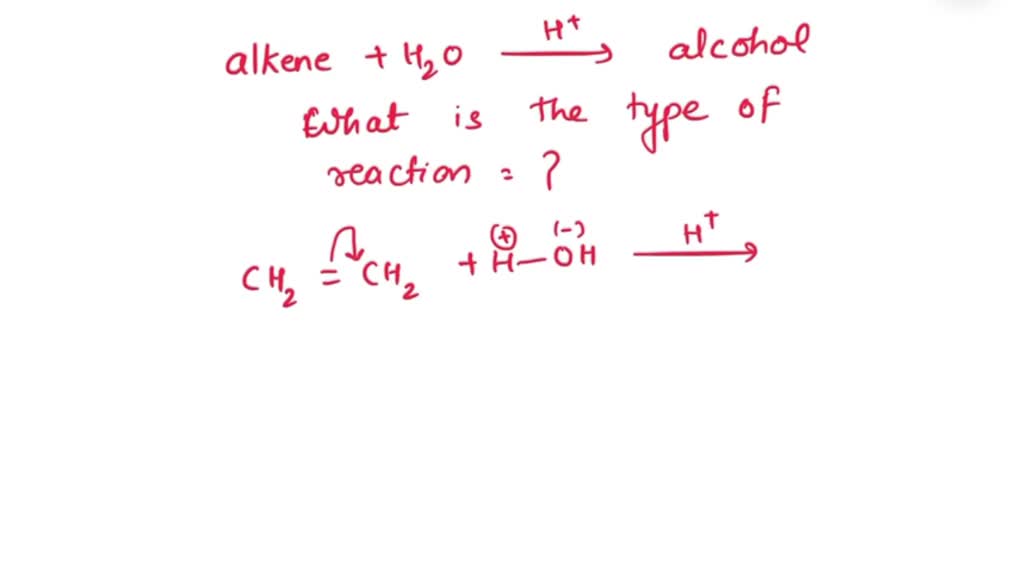 SOLVED: The reaction of an alkene and water in the presence of an acid ...