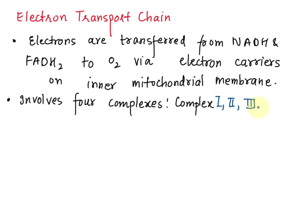 SOLVED: Which one of the following statements about the electron ...