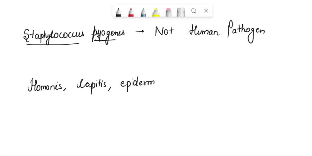 SOLVED: Staphylococcus aureus Staphylococcus capitus Staphylococcus ...