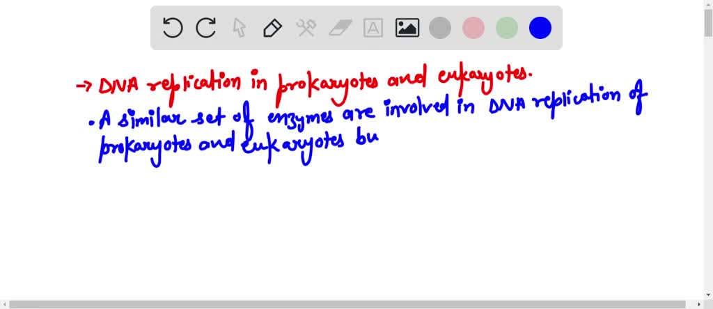 SOLVED: The figure below represents a DNA replication fork. Which of ...