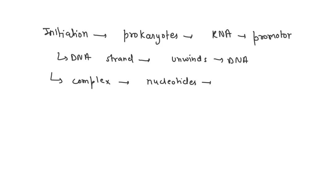 SOLVED: Transcription, RNA Processing and Translation Exercise A ...