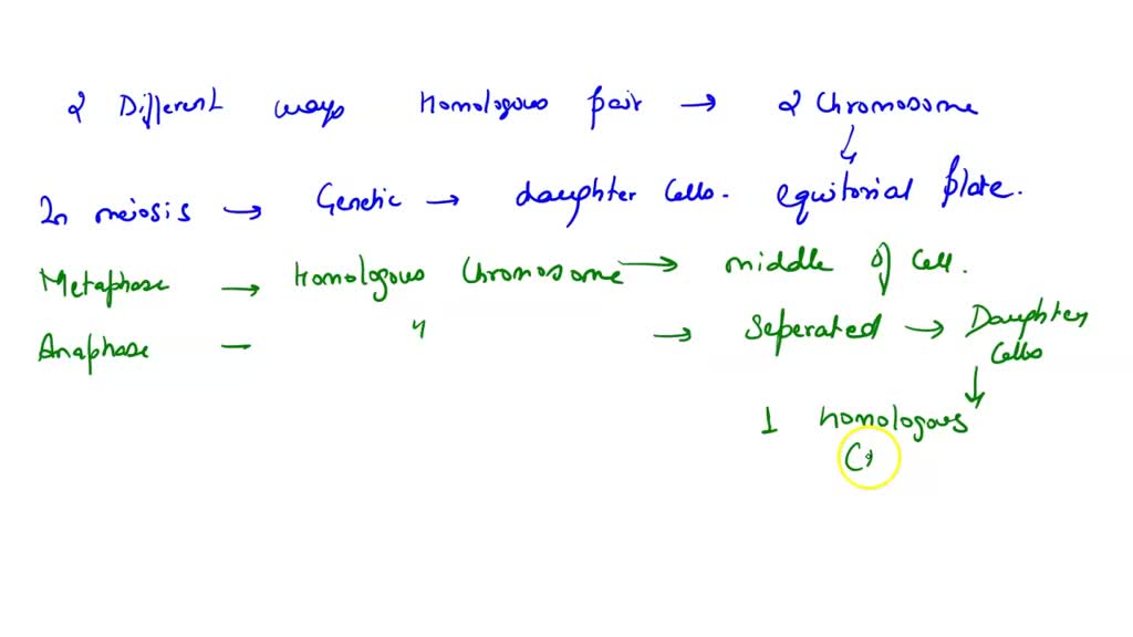 SOLVED: How many different ways could homologous pairs of two ...