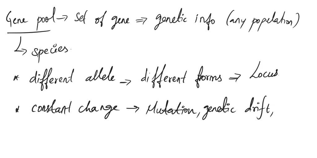 SOLVED: What is the function of primers in a PCR reaction? What happens ...