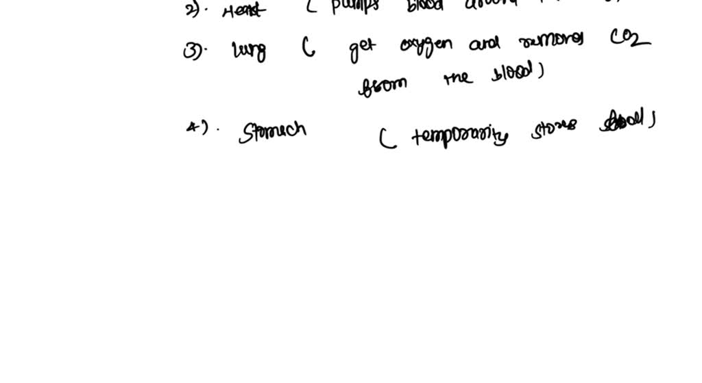 Solved E Learning Task 3 Connect The Organs Of The Body Listed In Column A With Its Function 
