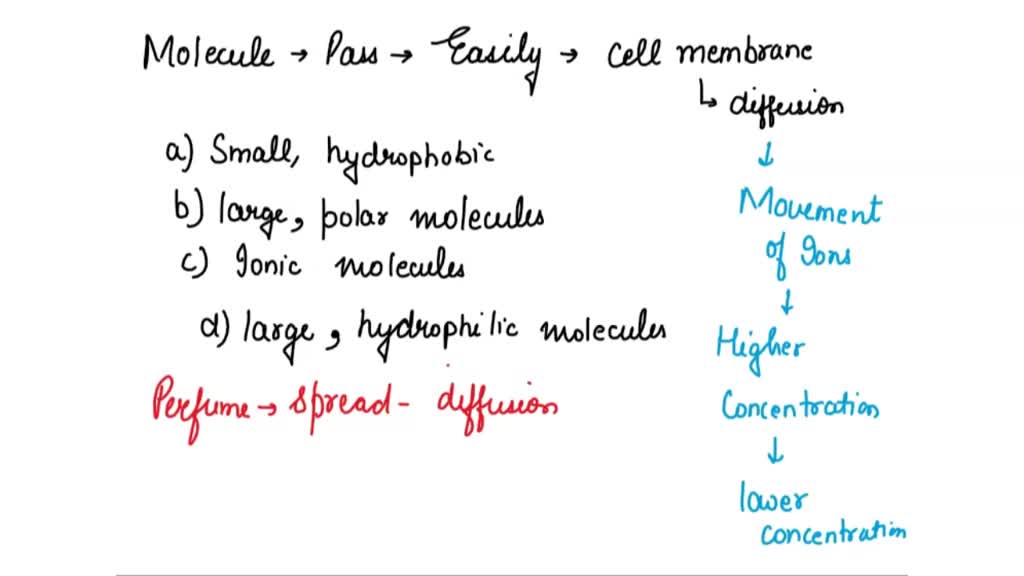 SOLVED: In osmosis molecules move through a semi-permeable membrane ...
