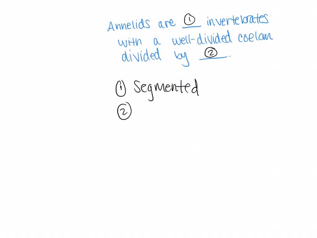 SOLVED: Annelids are … invertebrates with a well-developed coelom ...