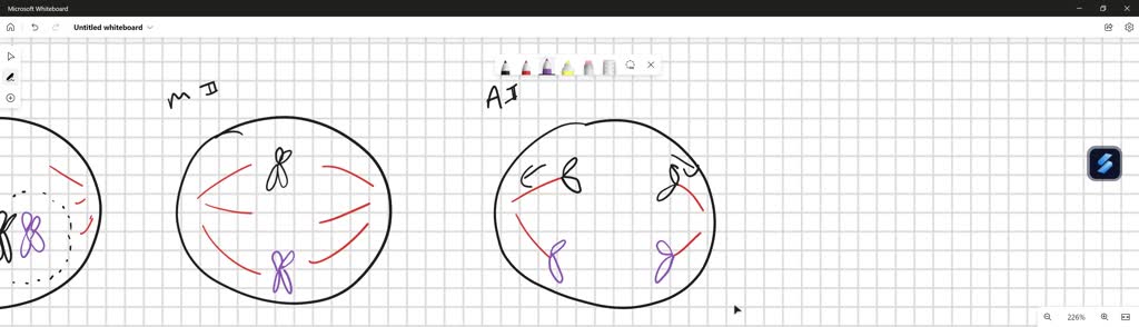 SOLVED: Draw picture of one of your cells from question with its ...