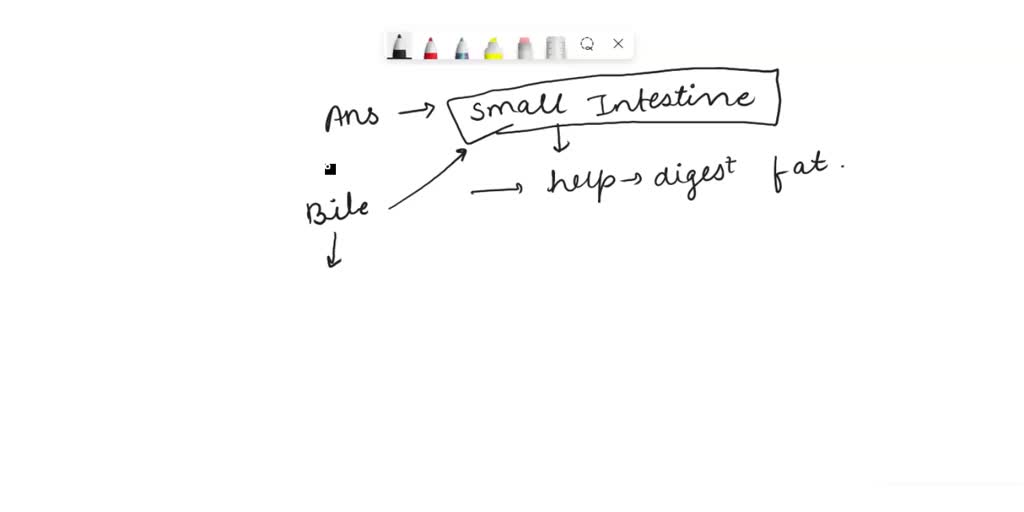 SOLVED: When bile breaks apart large globules of fat, this process is ...
