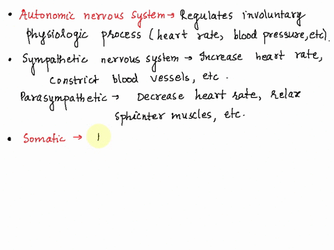 Identifying the Nerves of the Parasympathetic Nervous System Click and ...