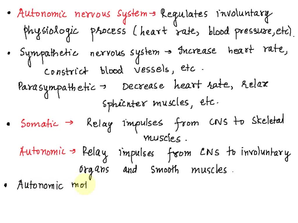 SOLVED: Characterize the autonomic nervous system. Distinguish between ...