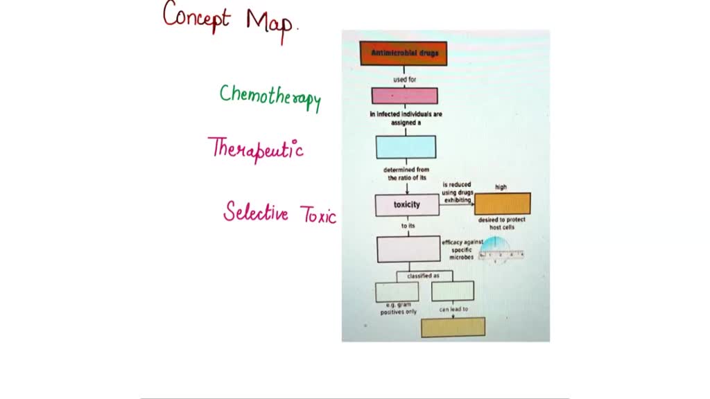 SOLVED: Drag and drop the labels into the correct empty boxes to complete the concept map ...