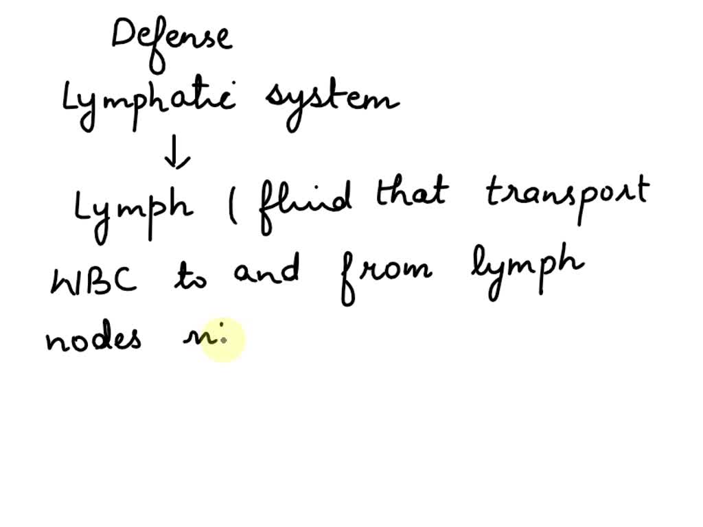 SOLVED: Which organ system protects the body from external hazards ...