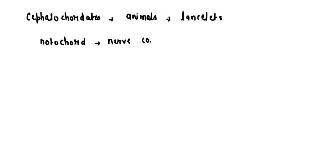 SOLVED: Describe the Cephalochordates. Are they diploblasts ...