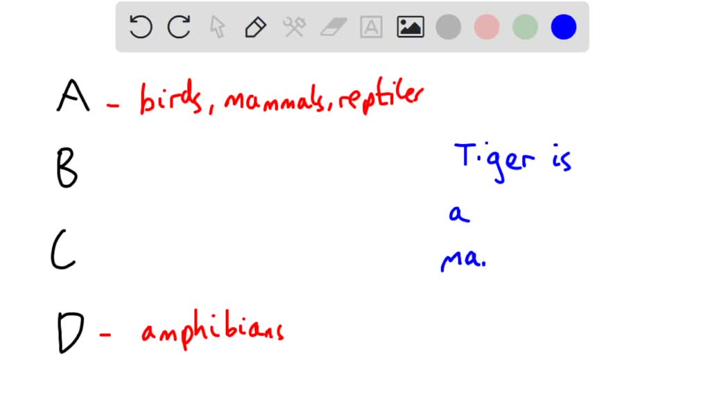 SOLVED: PLEASE HELP!!!!What organ is part of the respiratory system of ...