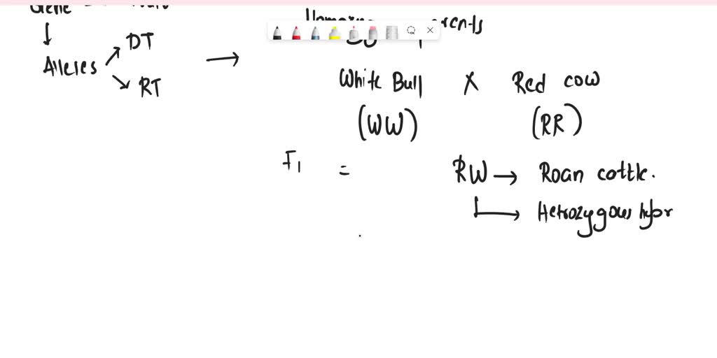SOLVED: Roan cattle are heterozygous hybrids of a cross between a white ...