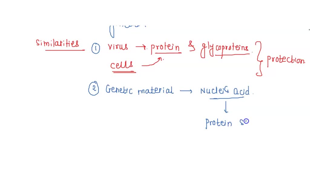 SOLVED: Contrast the budding of two viruses. One budding from the ...