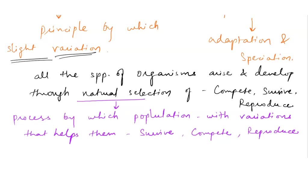 SOLVED: The modern synthesis of evolutionary theory entailed the ...