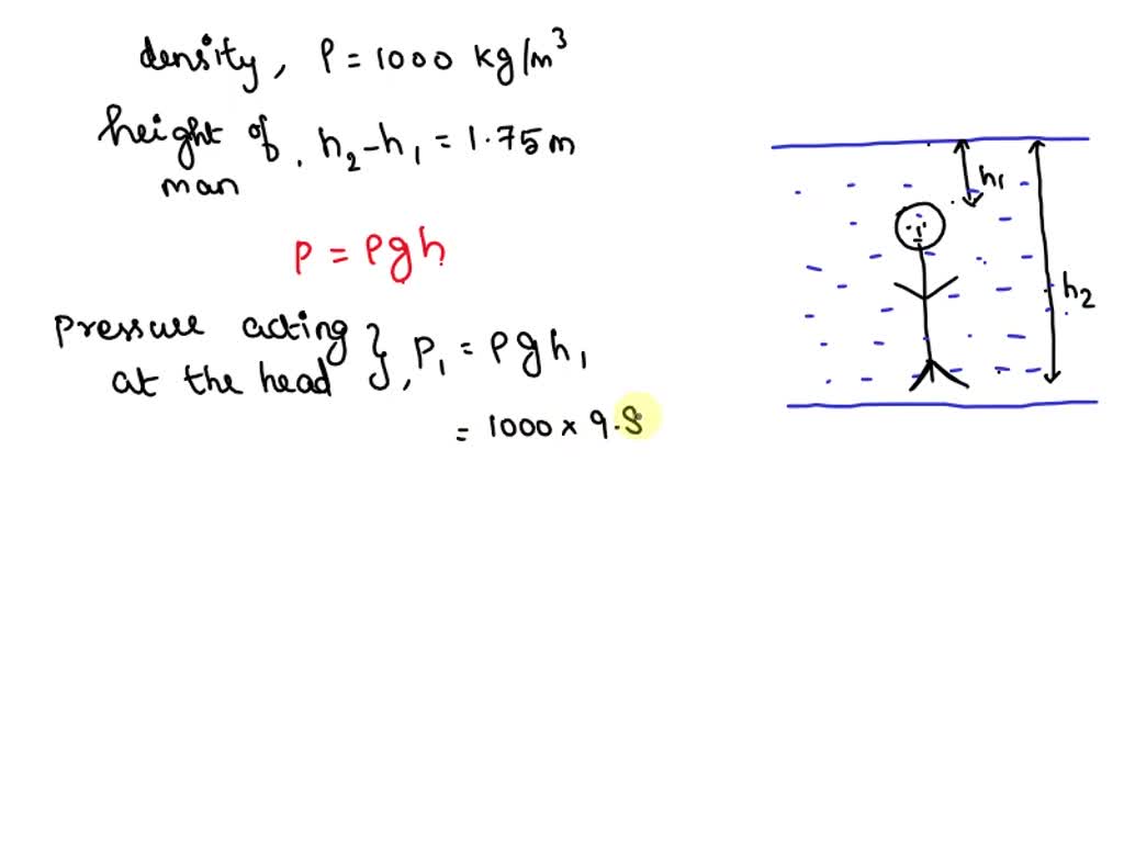 SOLVED: Consider a 1.75-m-tall man standing vertically in water and ...