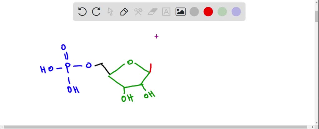 SOLVED: Draw the structure of uridine- 5^' -monophosphate (UMP).