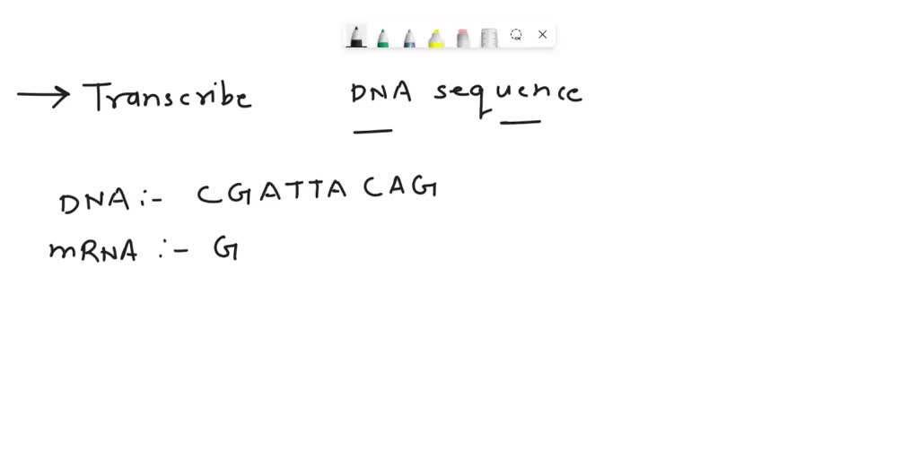 Given a sequence of nucleotides from the DNA nontemplate strand: CTCGGCTATCATGCA, transcribe ...