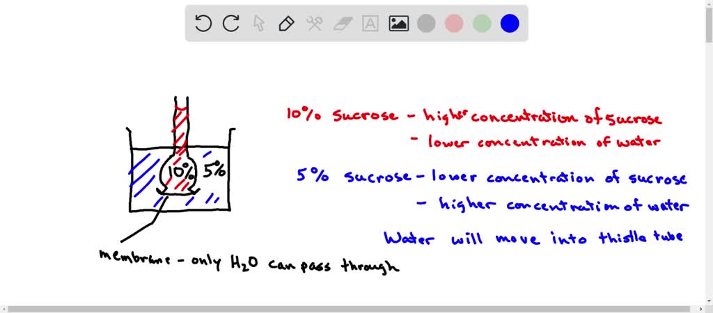 SOLVED: 2 6. Molasses is too big on a molecular level to diffuse ...