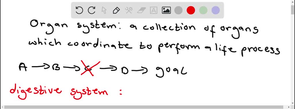 SOLVED: Suppose one organ in the organ system failed to work properly ...