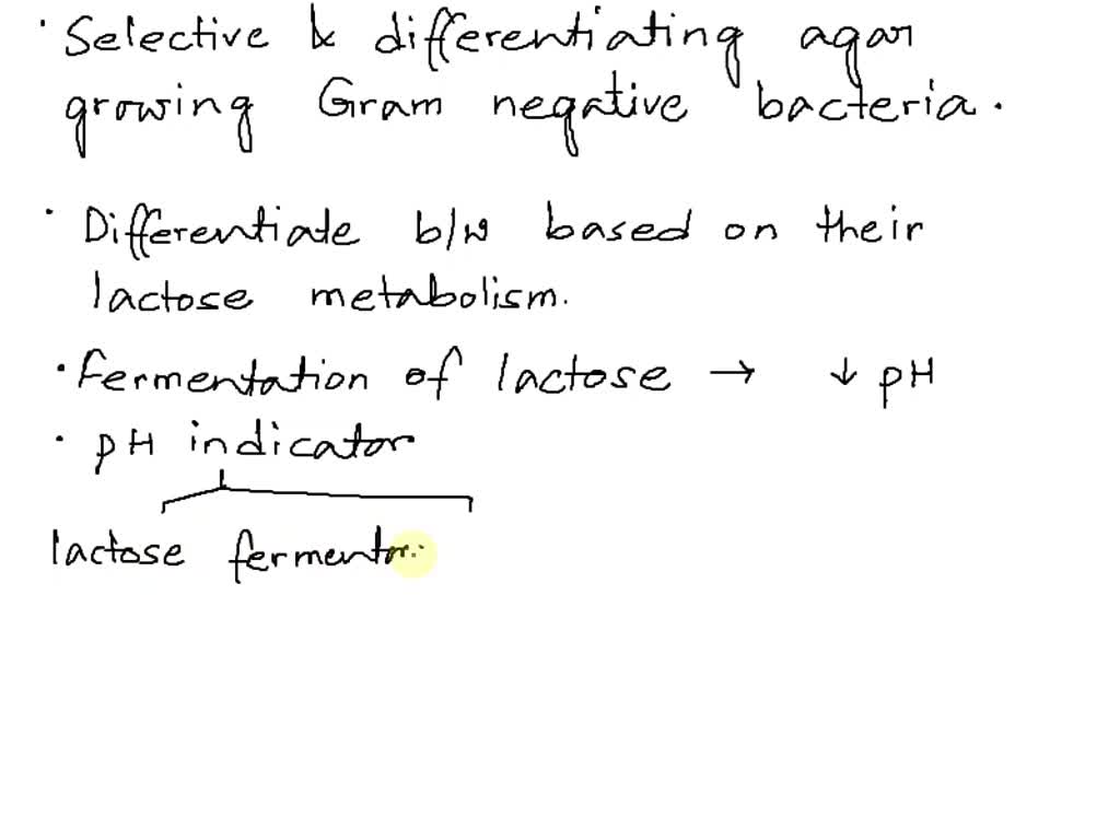 SOLVED: MacConkey agar : All of the following are true of MacConkey ...
