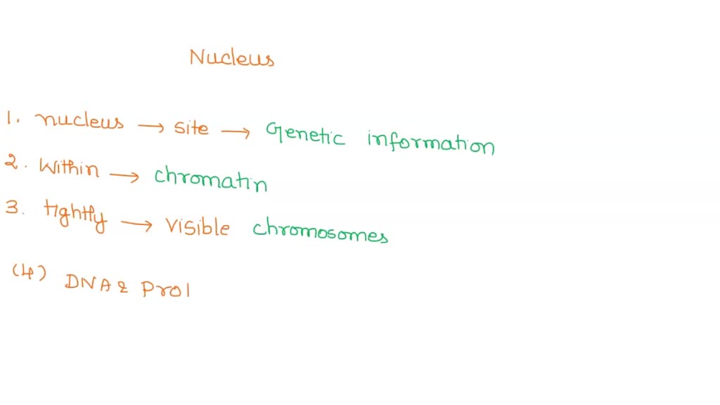 SOLVED: Odd one out: Generative nucleus, tube nucleus, polar nuclei ...