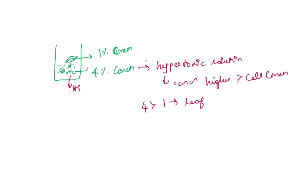 SOLVED: Preguntas basadas en datos: Ósmosis en los tejidos vegetales ...