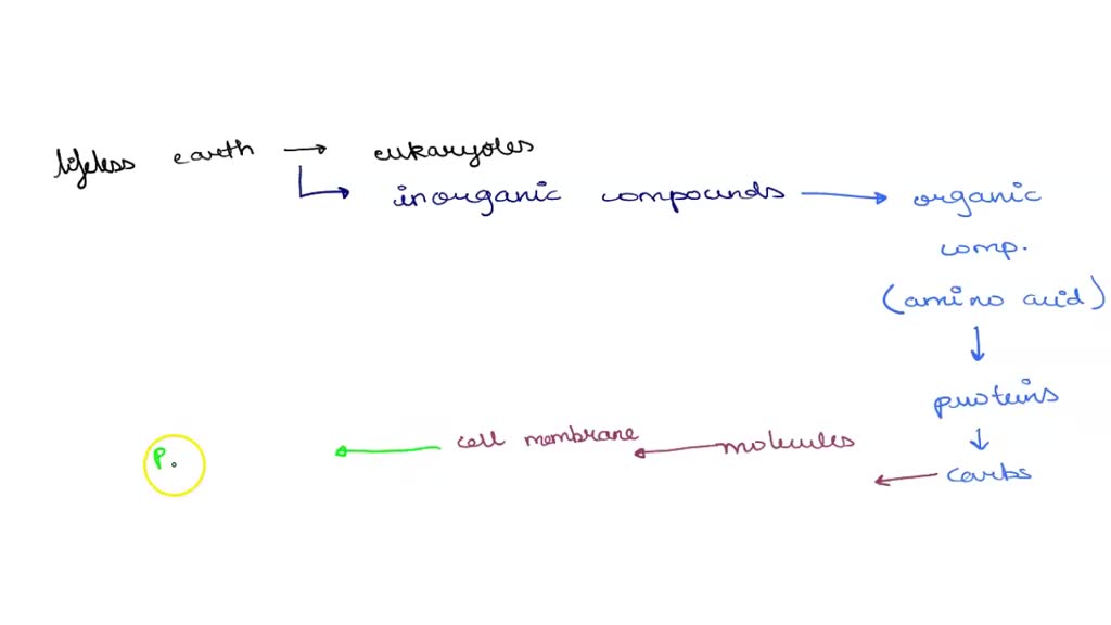 Solved Think Critically Sequence The Hypothesized Events That Led From A Lifeless Earth To The