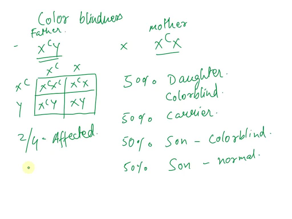 A colorblind man marries a female who is a carrier for color blindness ...