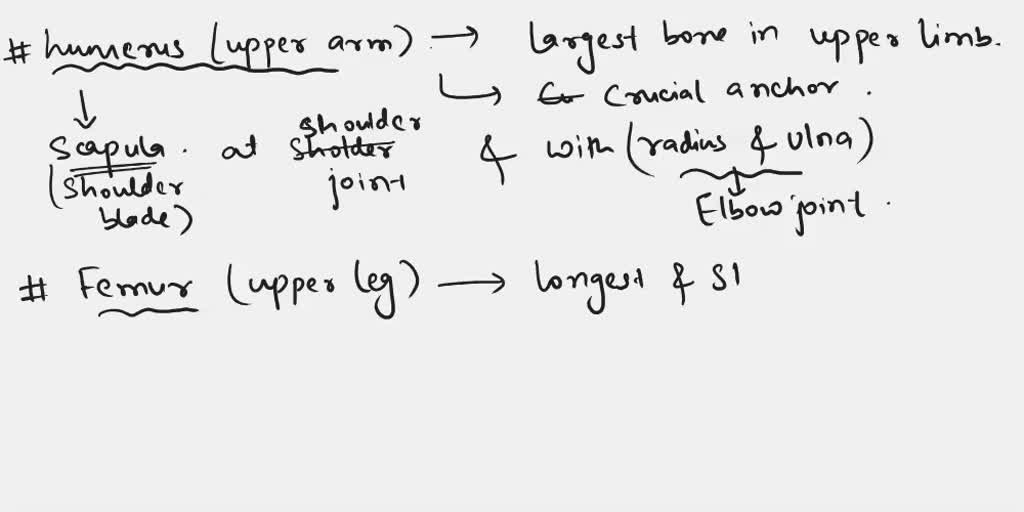 SOLVED: The upper arm bone is known as the Multiple Choice humerus ...