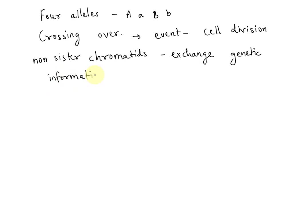 SOLVED: How could crossing over affect the distribution of the four ...