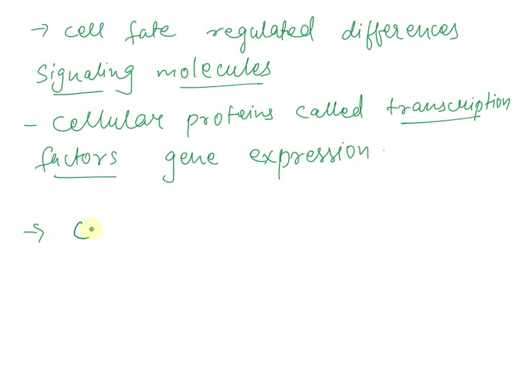 SOLVED: The fate of a cell is determined in the embryo by: - Gene ...